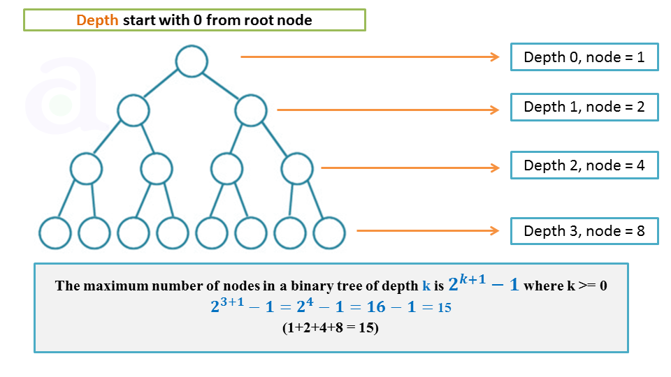Level and Height of a Tree: Explained with Examples